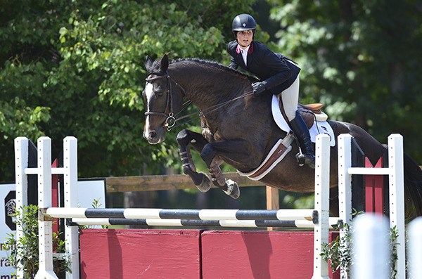 Anthony shines for University of South Carolina equestrian team ...
