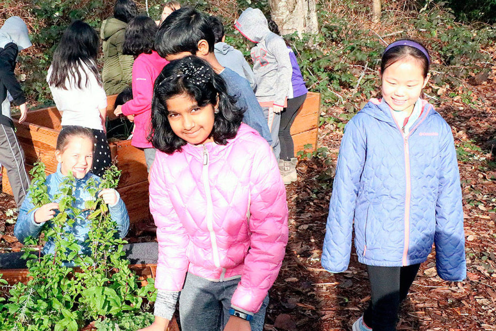 Sustainability in action at LWSD | Redmond Reporter