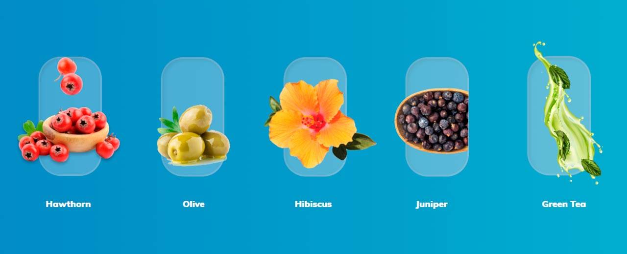 MemoDefend Reviews - Natural Memory Loss Support or Fake Results ...