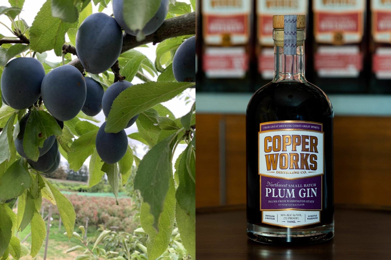 Local distillery calls for plums for gin amid low harvest yield from ...