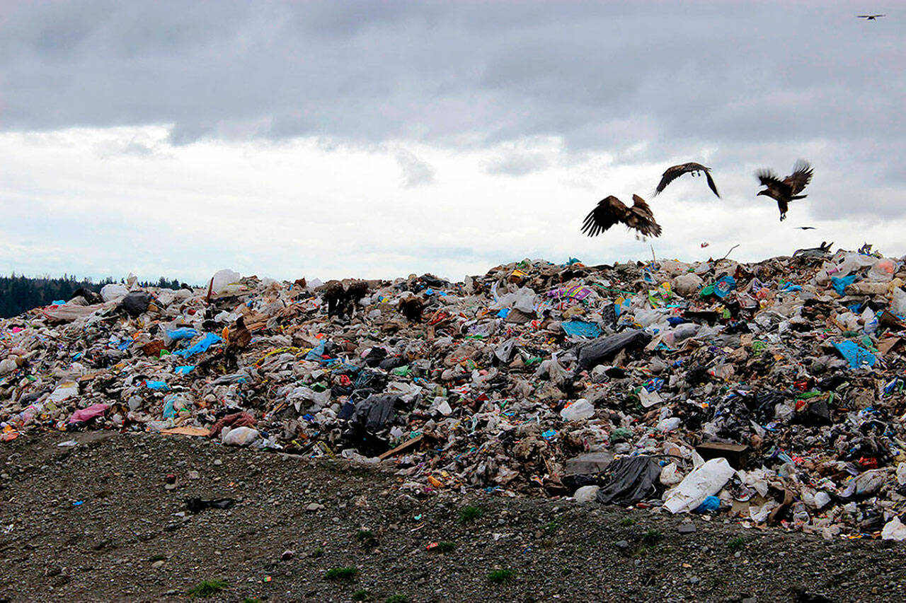 King County and Port of Seattle to collaborate on waste-to-fuel study ...