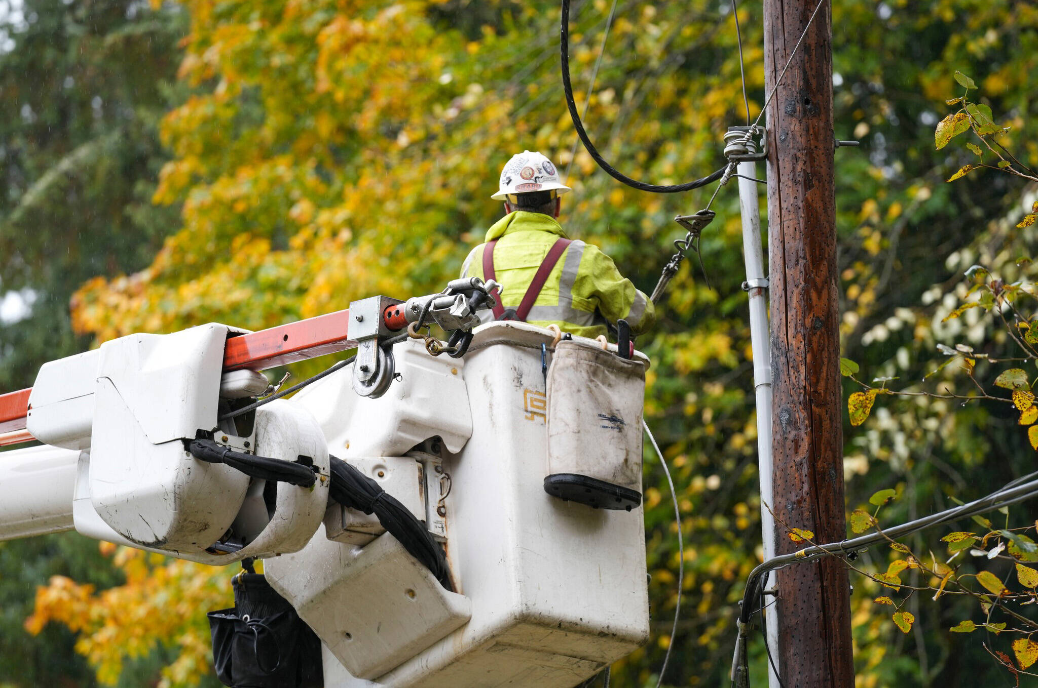 Puget Sound Energy electric, natural gas rates go up | Redmond Reporter